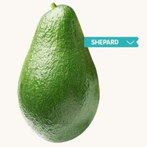 Top 5 Places to Buy Avocados in Malaysia: A Malaysian Buyer Guide ...